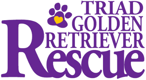 TGRR – Triad Golden Retriever Rescue – TGRR